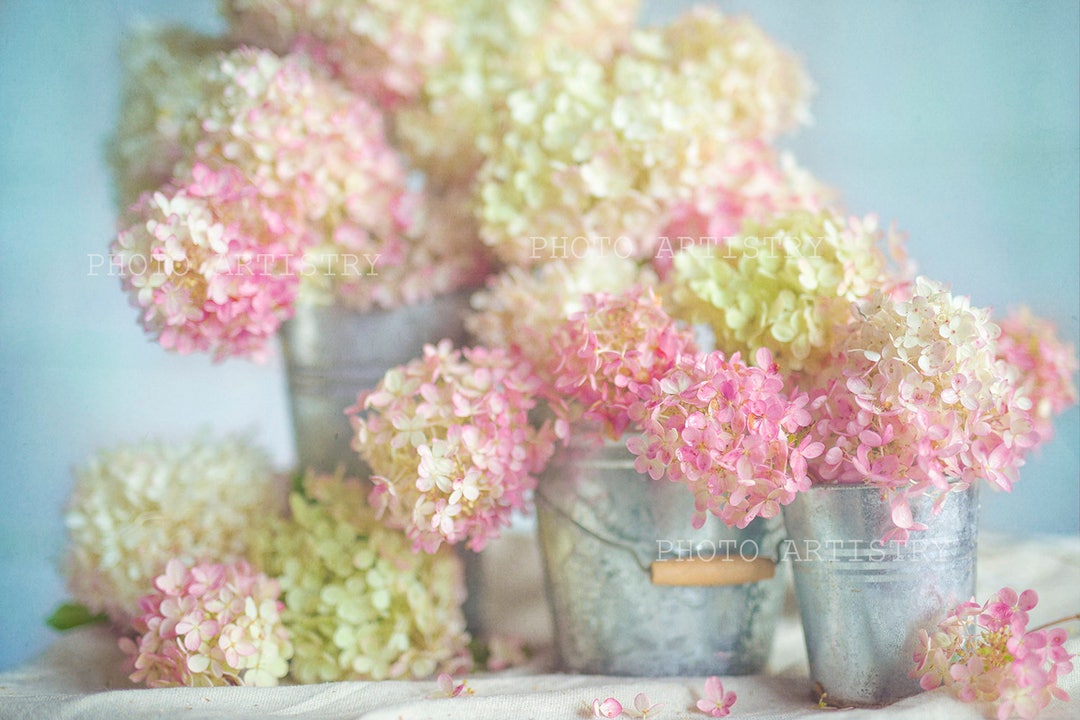 Lovely Hydrangea Print, Rustic Wall Art, Pink, Shabby Chic Decor ...