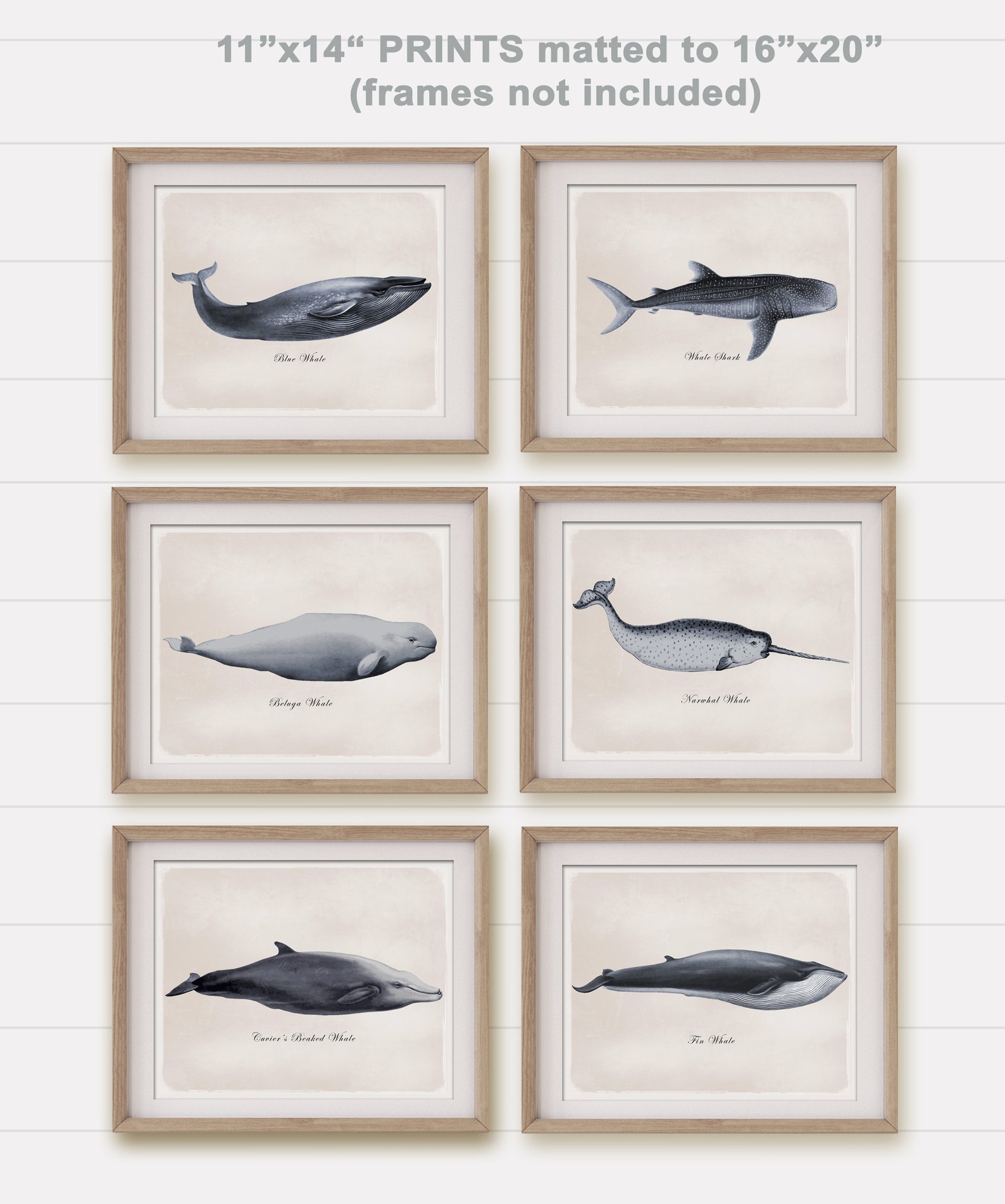Vintage Whale Prints Beach House Art Coastal Art Prints and - Etsy