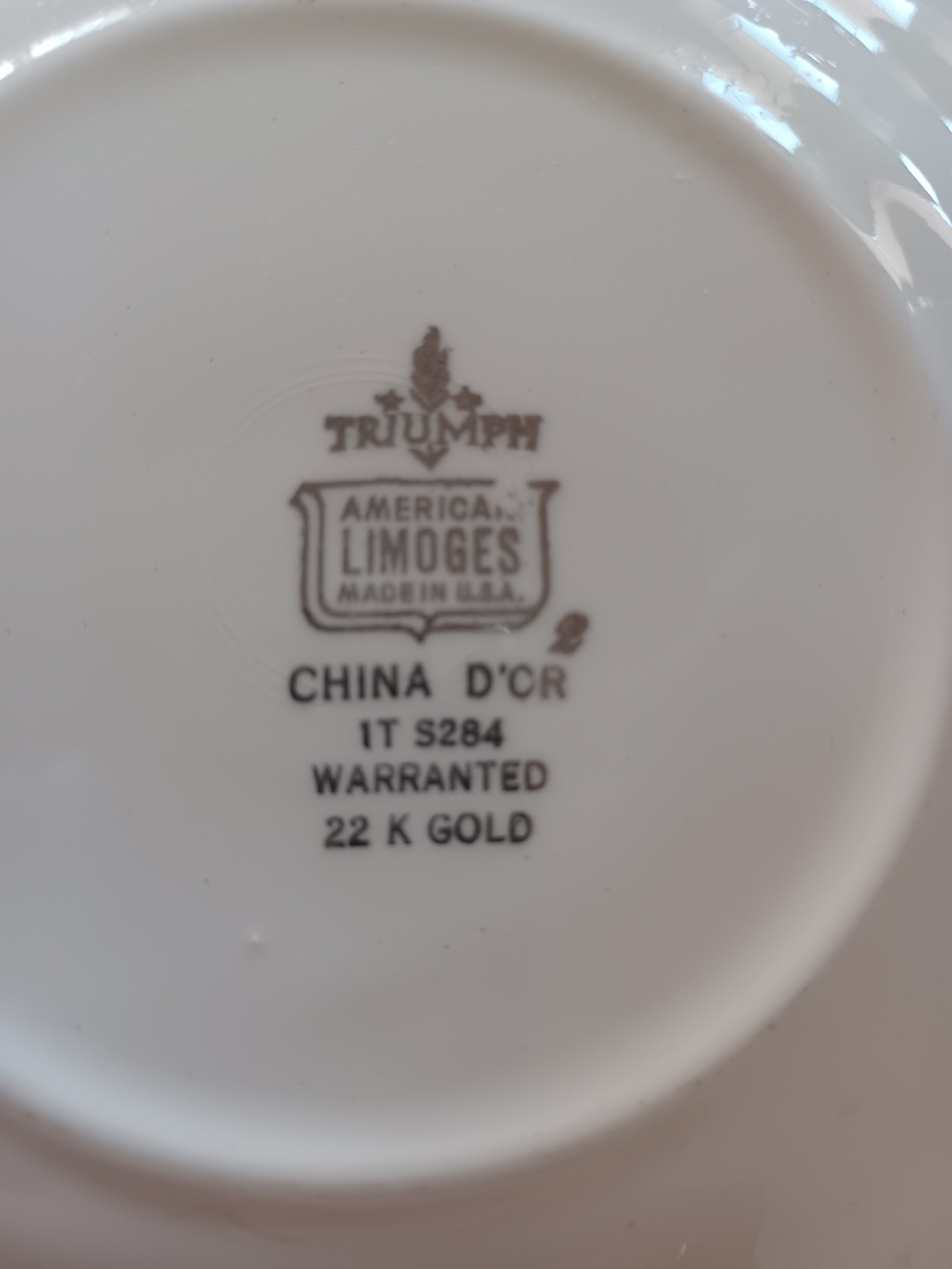 Vintage Triumph American Limoges China D'or 22K Gold Plate - Etsy