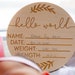 Birth Announcement Sign, Hospital Welcome Sign, Round Wooden Name Sign ...