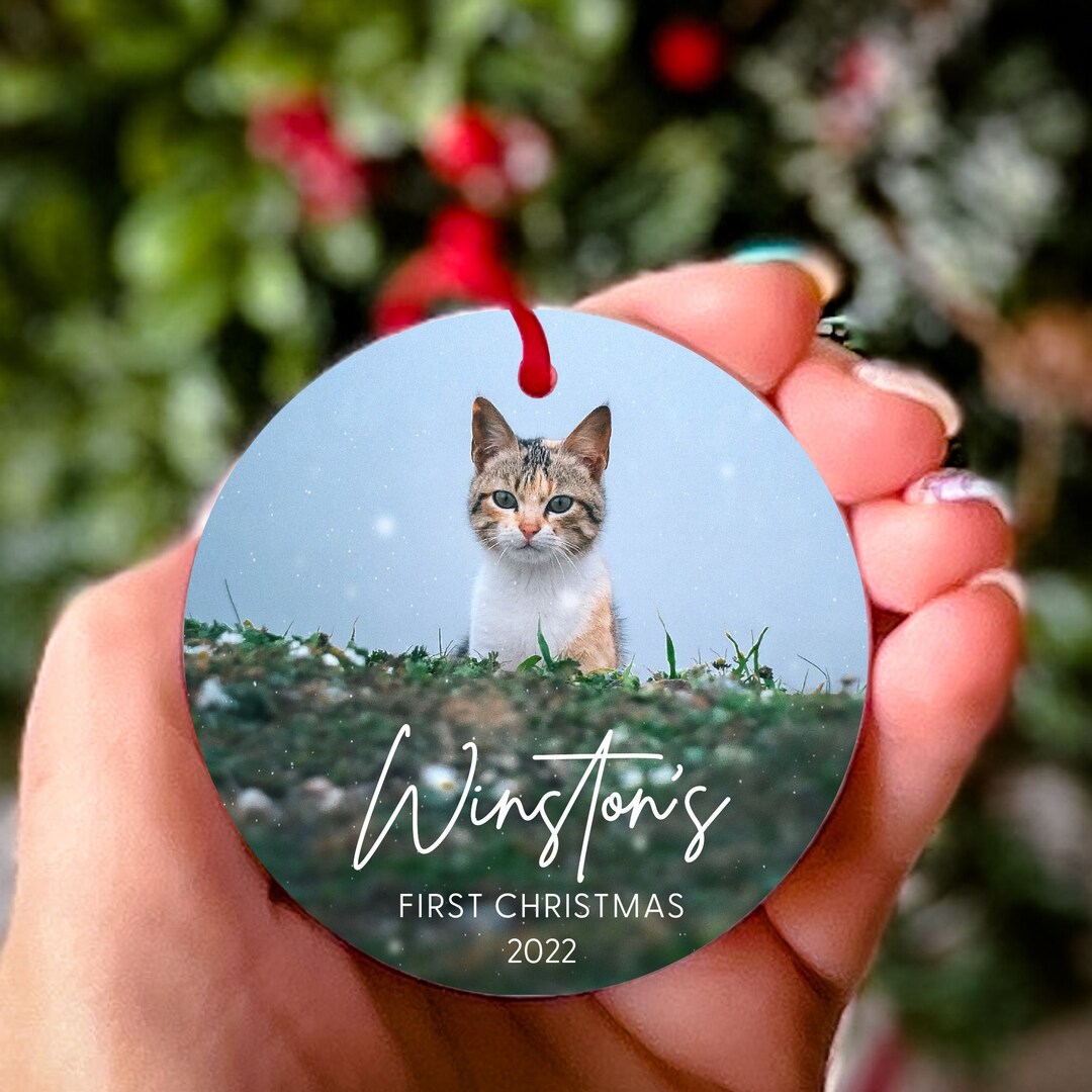 Kittens First Christmas Ornament Cats First Ornament Personalized Cat ...