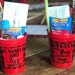 Flannels & Fizz Cups Bachelorette Party Cups Weekend in the - Etsy