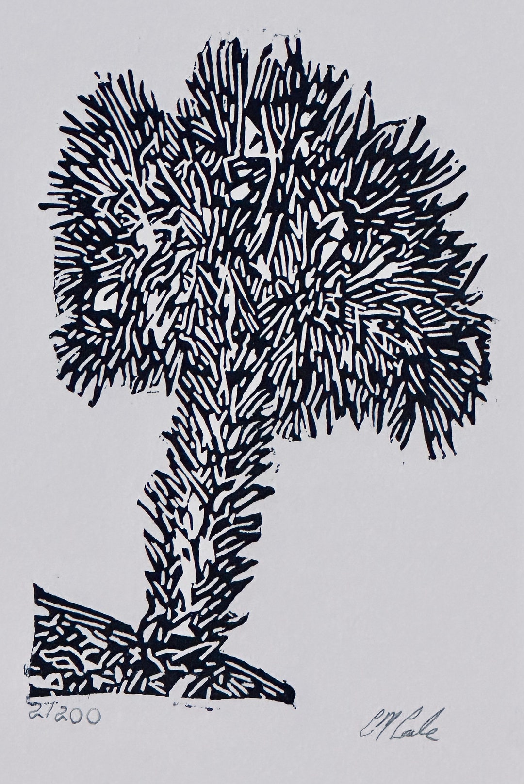 Palmetto Tree Linoleum Block Print - Etsy