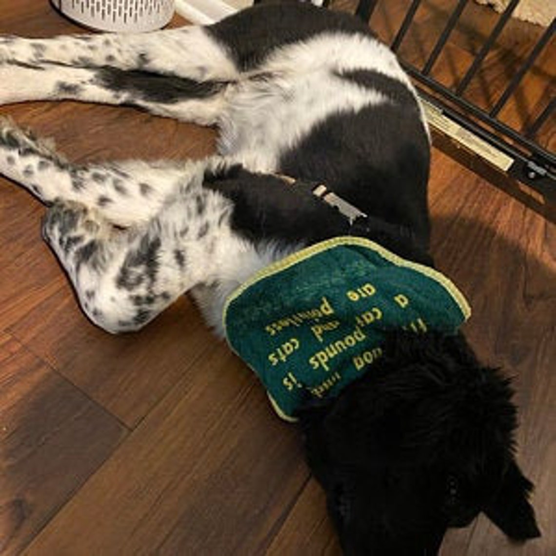 Newfie Bibs St Bernard Bibs Big Dog Bibs Dog Bibs for Large - Etsy