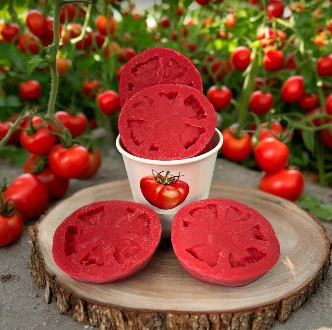 TOMATO SLICES Wax Melts | Tomato Leaf Scent | 3 Melts | 4.5 Oz - Etsy