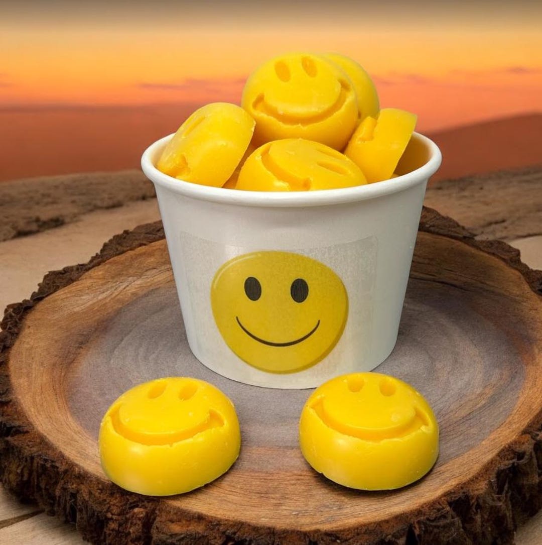 SMILEY FACE Wax Melts | Hawaiian Sun Scent | 5.25 Oz - Etsy
