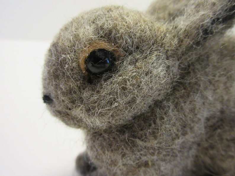 Wild Baby Bunny Needle Felting Kit - Etsy