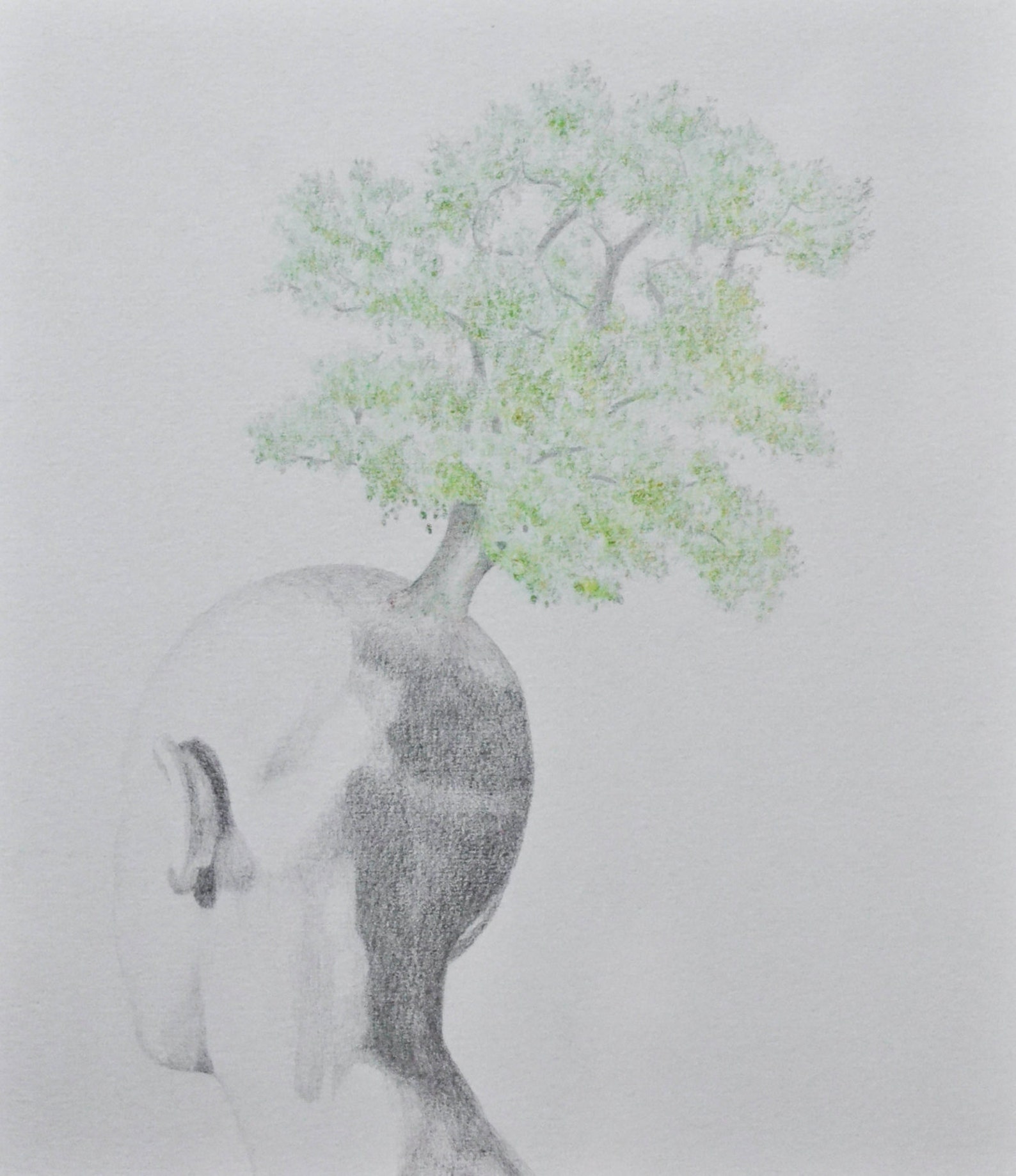 Archival Art Print, Head Growing Tree, Surreal Artwork, Pencil ...