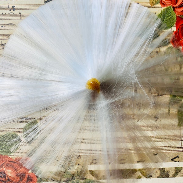 Spun Glass - Etsy