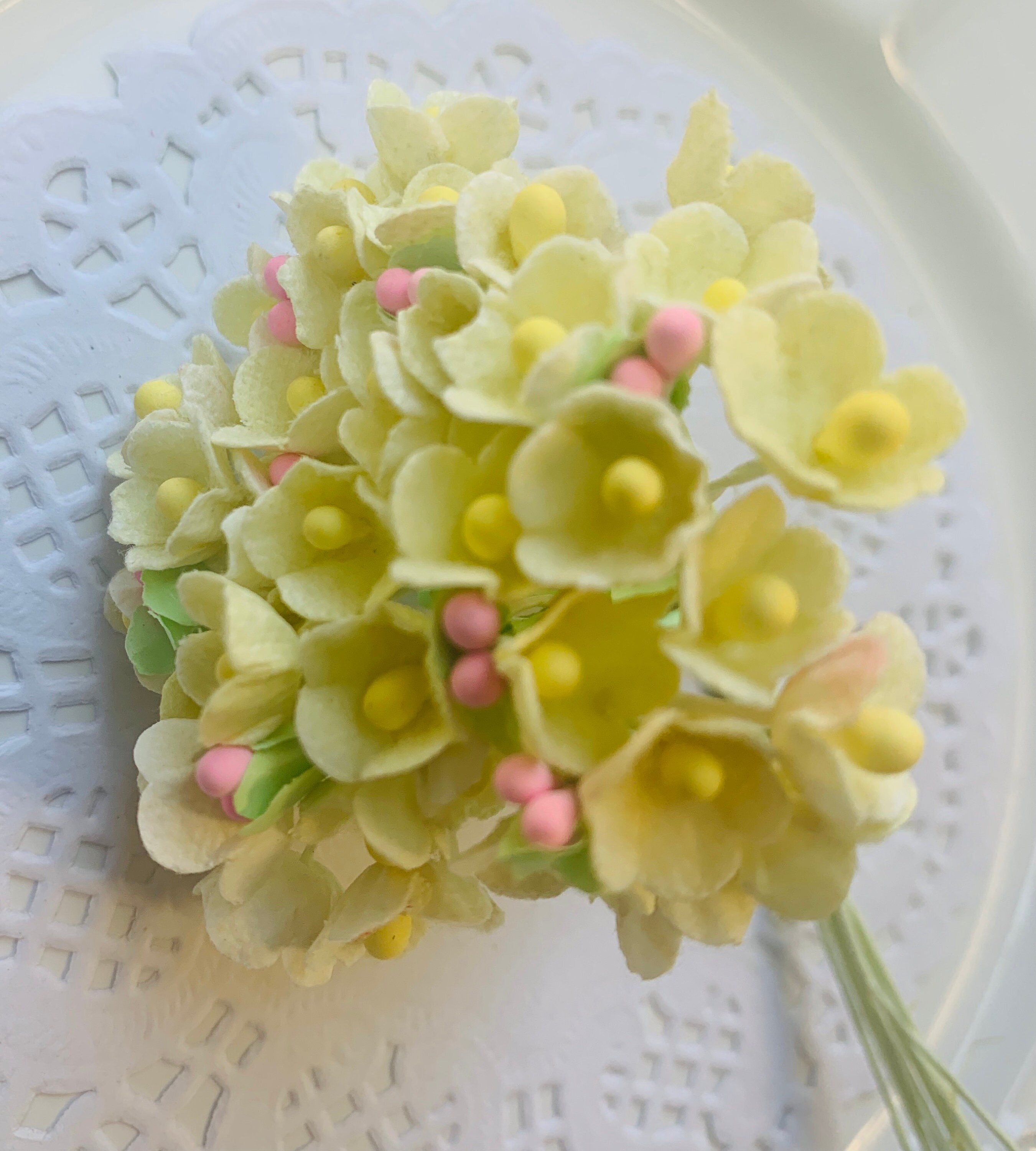 Forget-Me-Nots flower Bundle Light Butter Yellow 8 stem New | Etsy