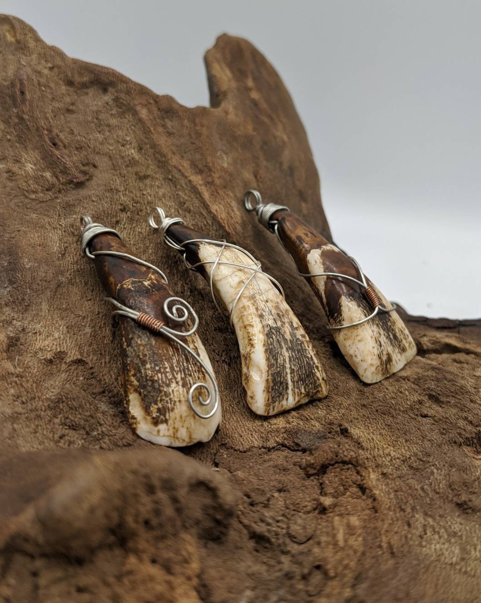 Wire Wrapped Bison Tooth Pendant - Etsy