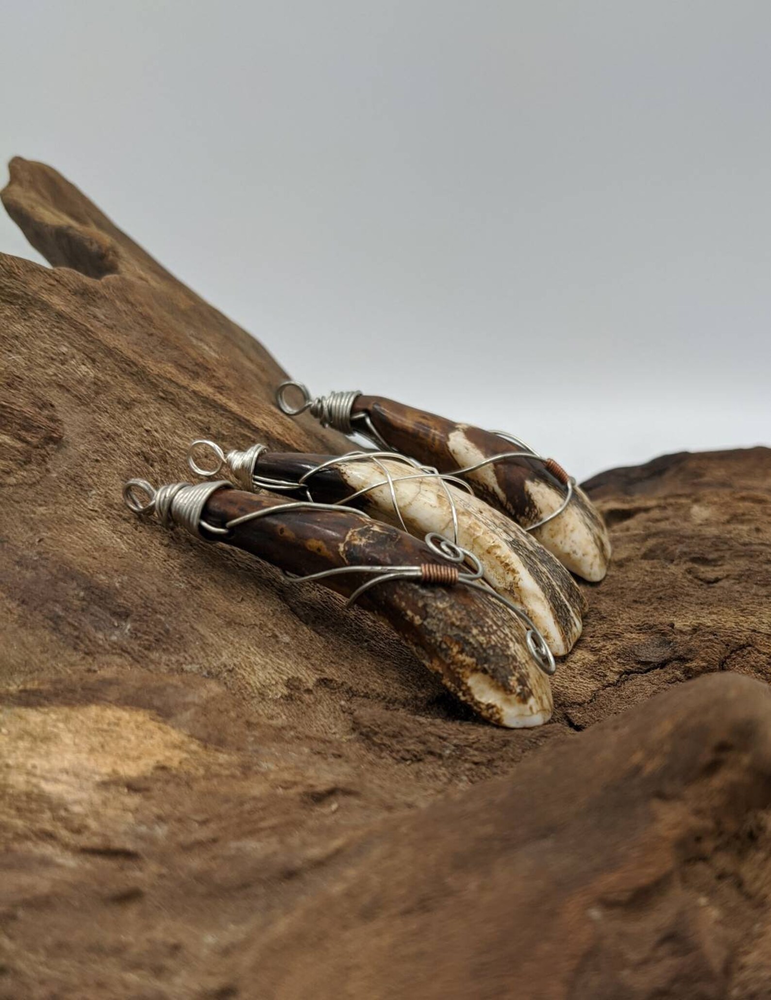 Wire Wrapped Bison Tooth Pendant - Etsy