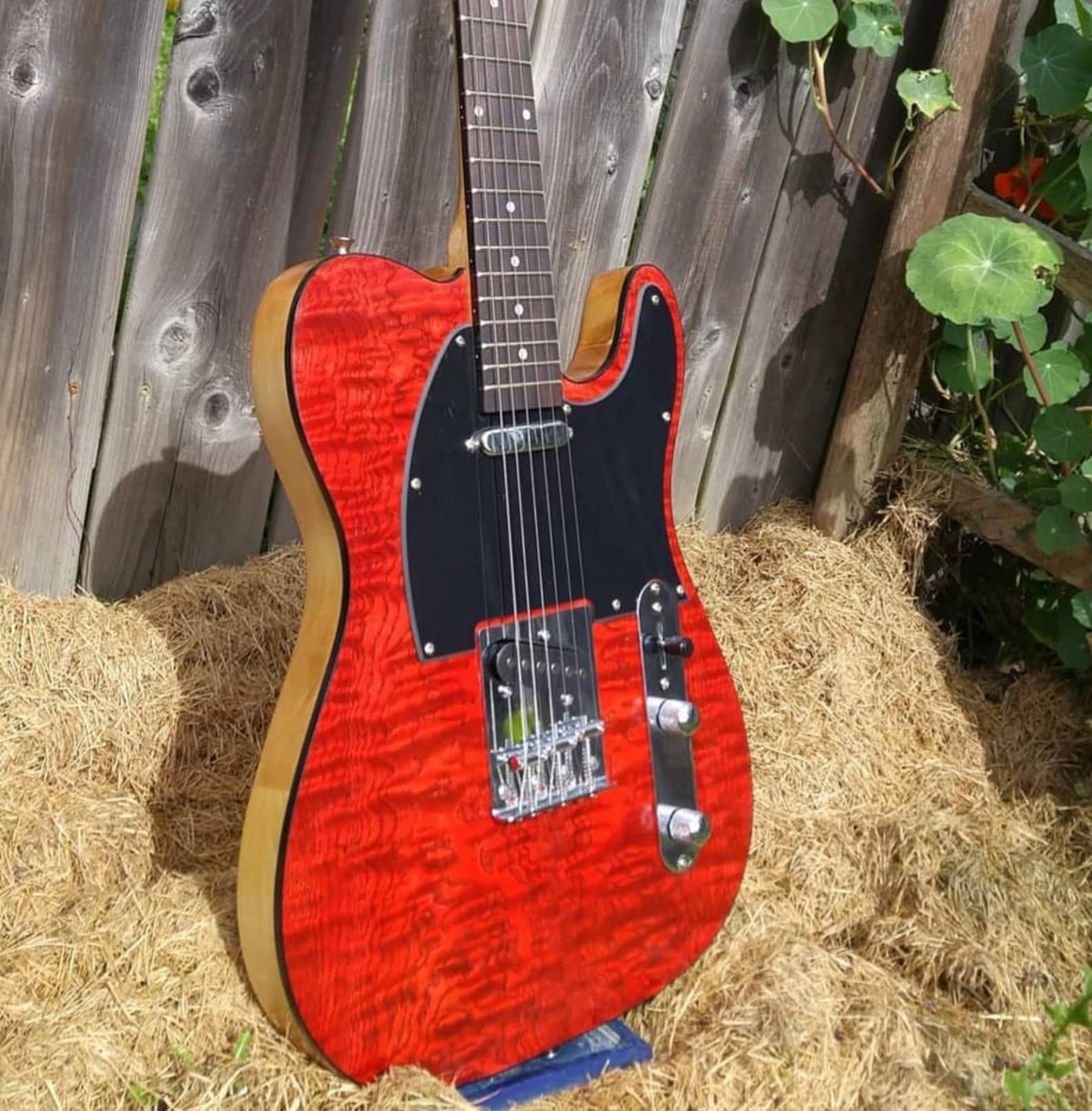 Keda Guitar Stain Has 5 Guitar Dye Colors in One Easy to Use Guitar Kit ...