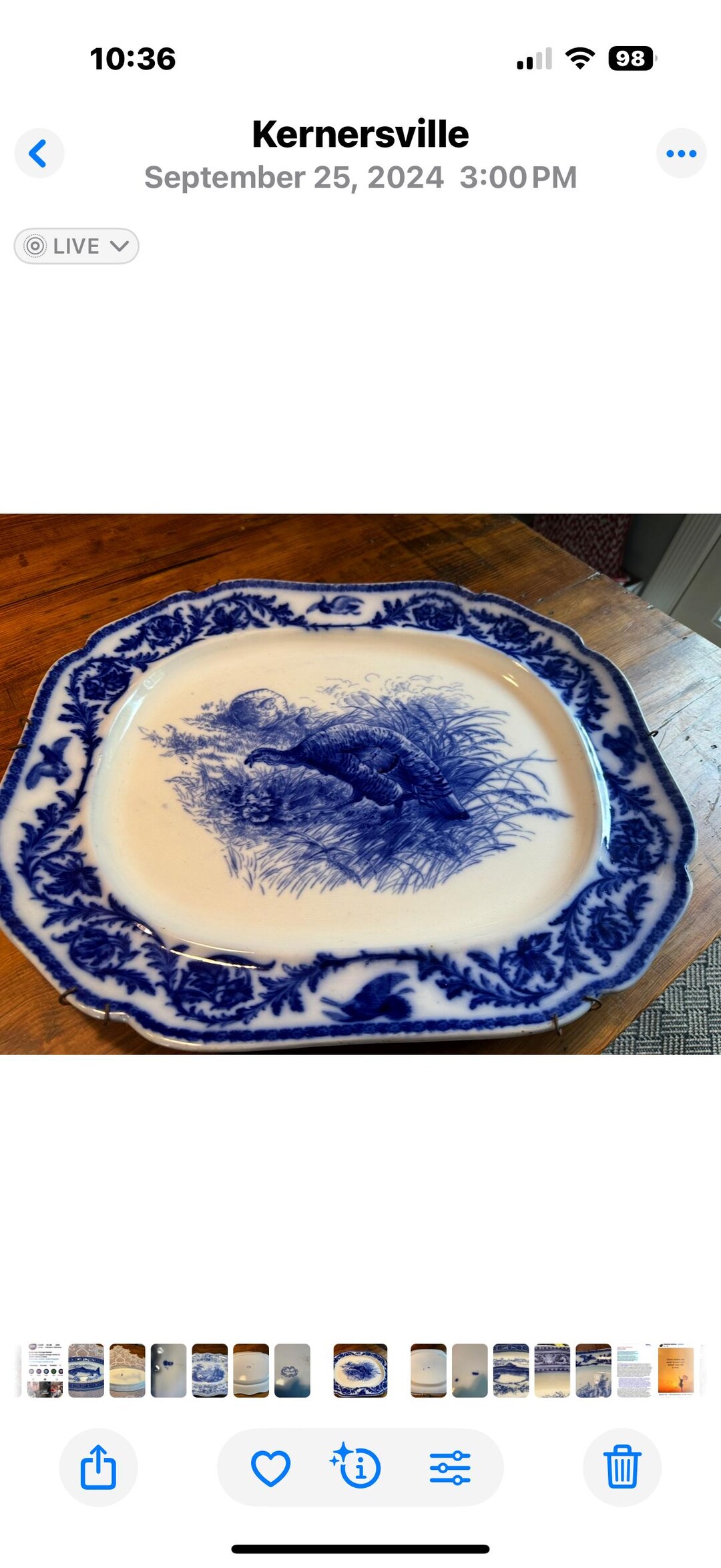 Large Antique Flow Blue Turkey Platter - Etsy