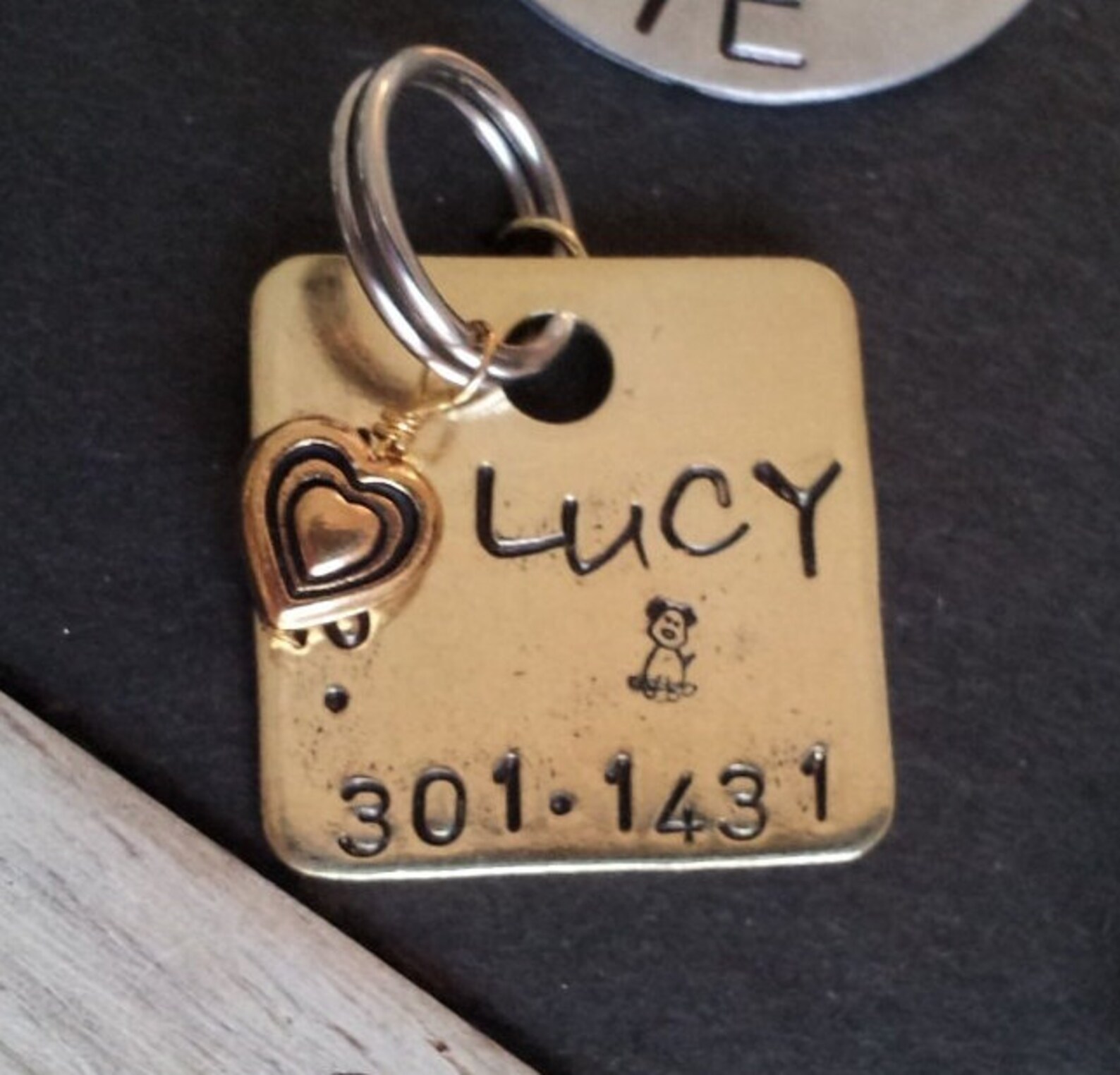 LUCY Dog ID Tag - Etsy