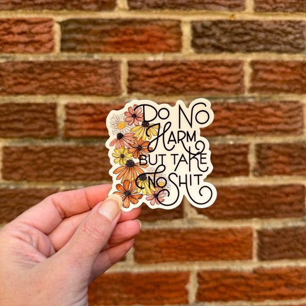 Do No Harm but Take No Shit Sticker - Etsy