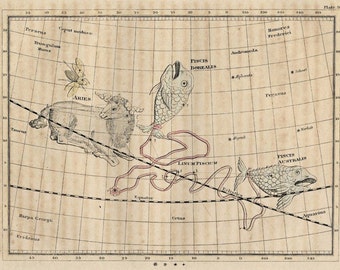 Antique star map | Etsy