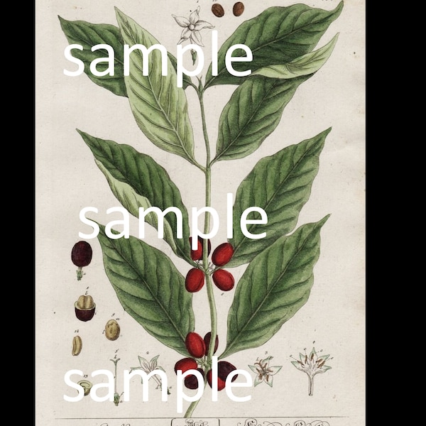 Hand Engraving - Etsy