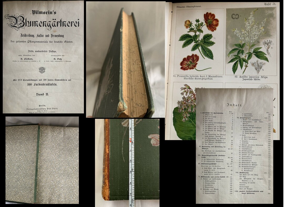Original Botanical German Bound Leather Book 1st Edition, Collector's ...