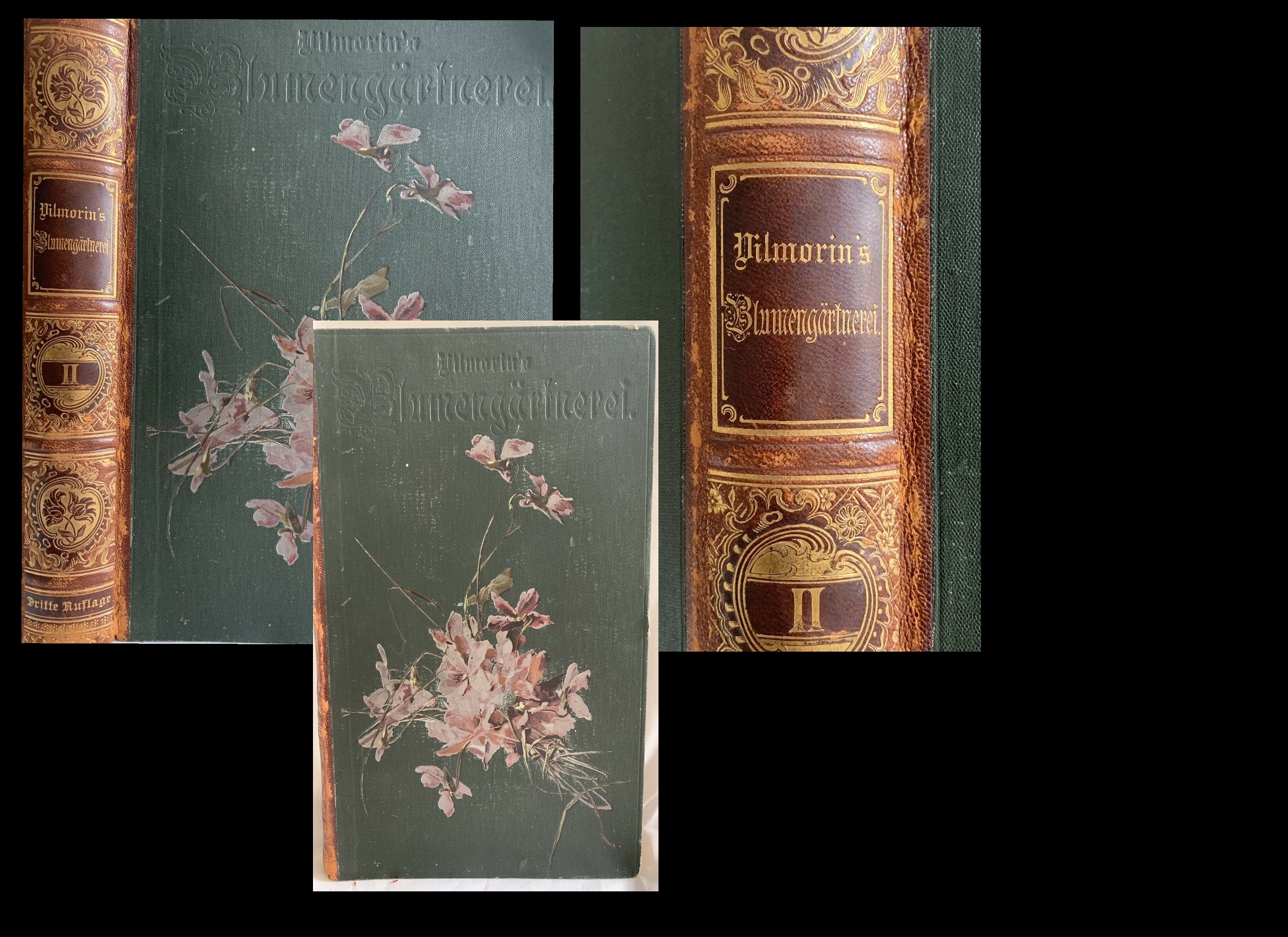 Original Botanical German Bound Leather Book 1st Edition, Collector's ...