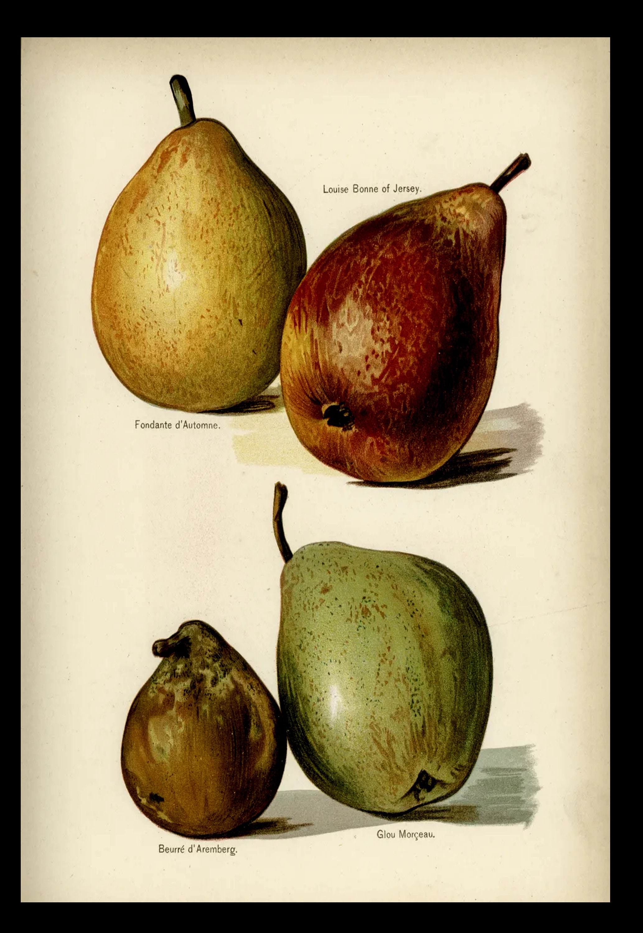 Antique Colored Lithograph Print of Fondante D'automne - Etsy