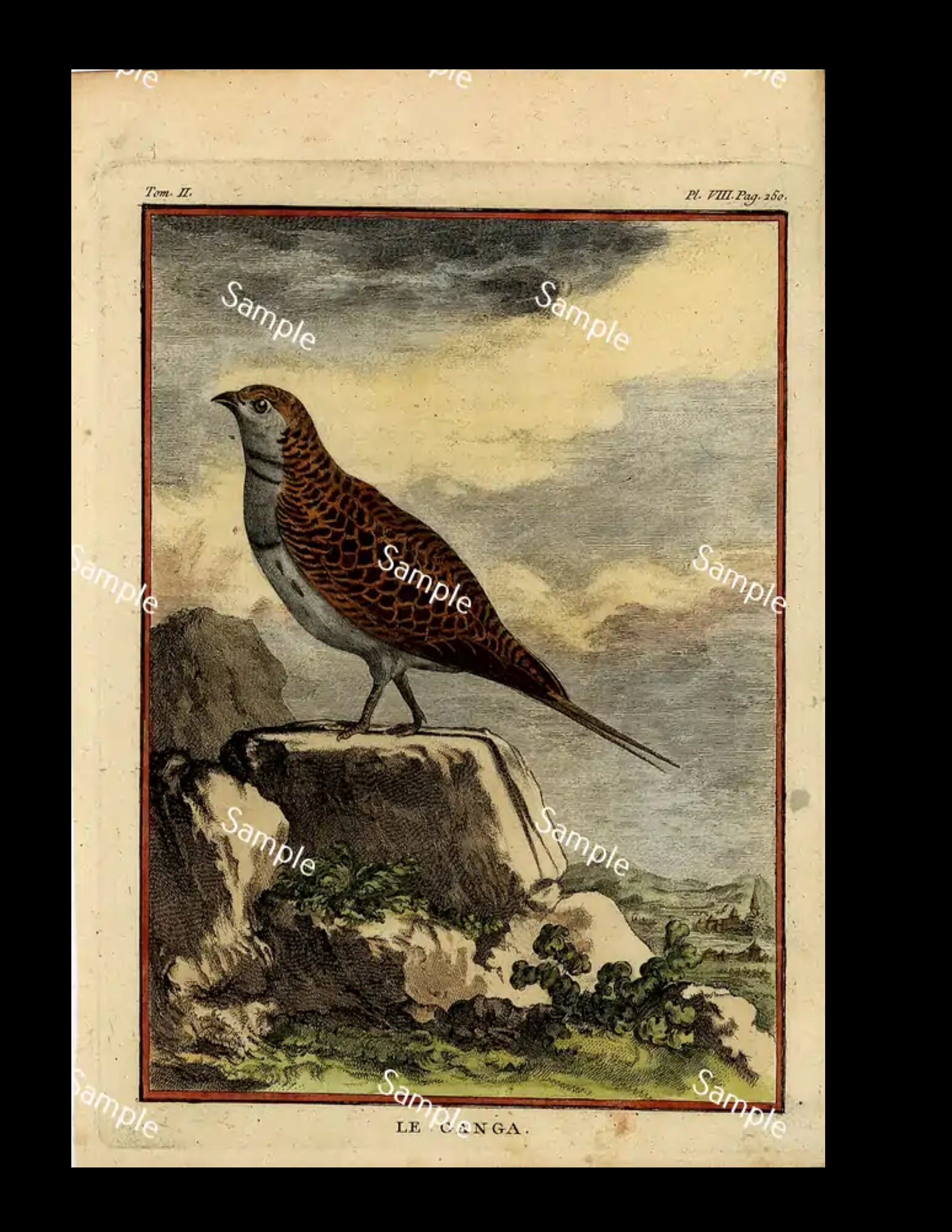 Rare Large QUARTO Edition Hand Colored Engraving Circa 1766 De - Etsy