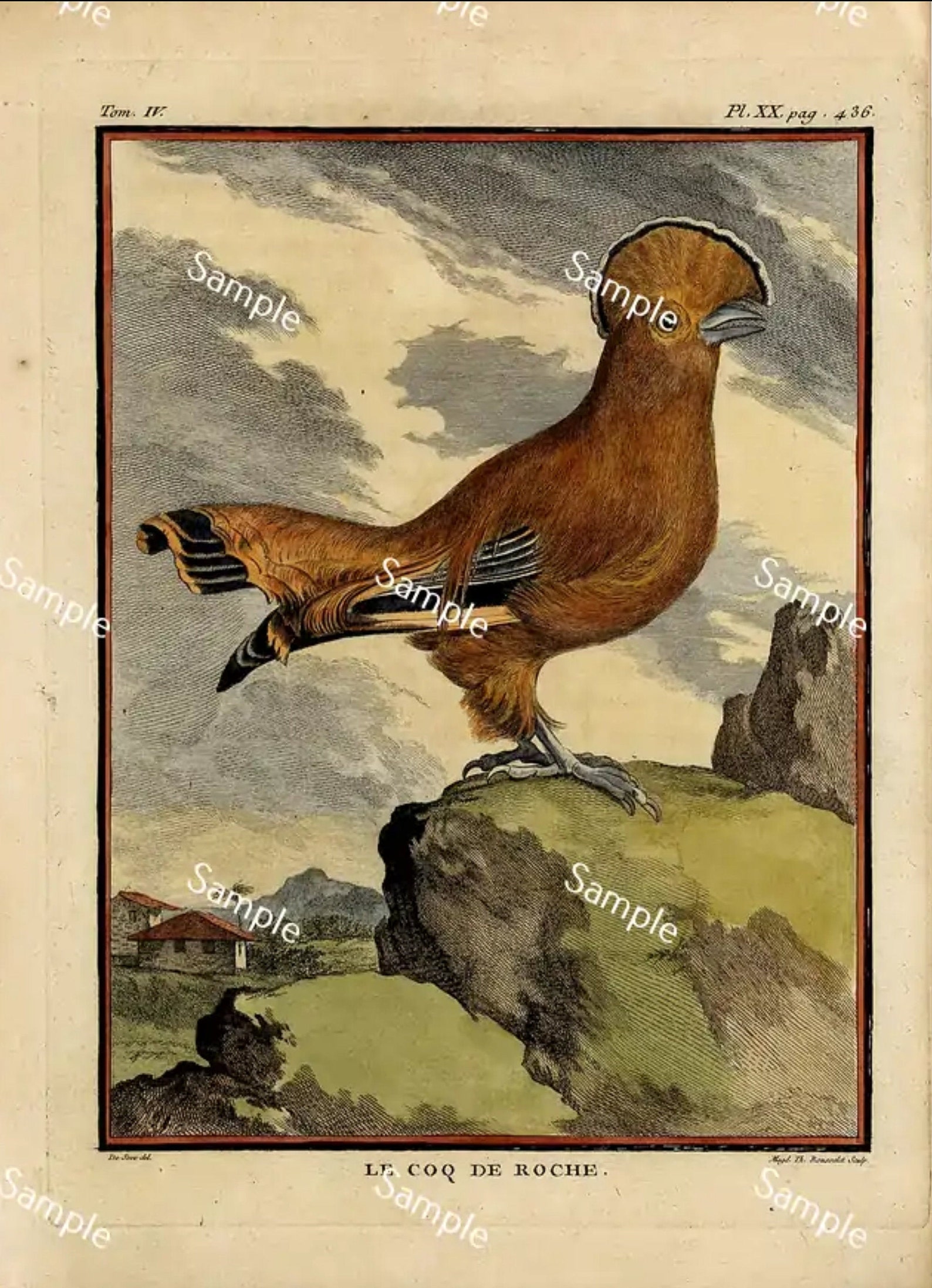 Rare Large QUARTO Edition Hand Colored Engraving Circa 1766 De - Etsy
