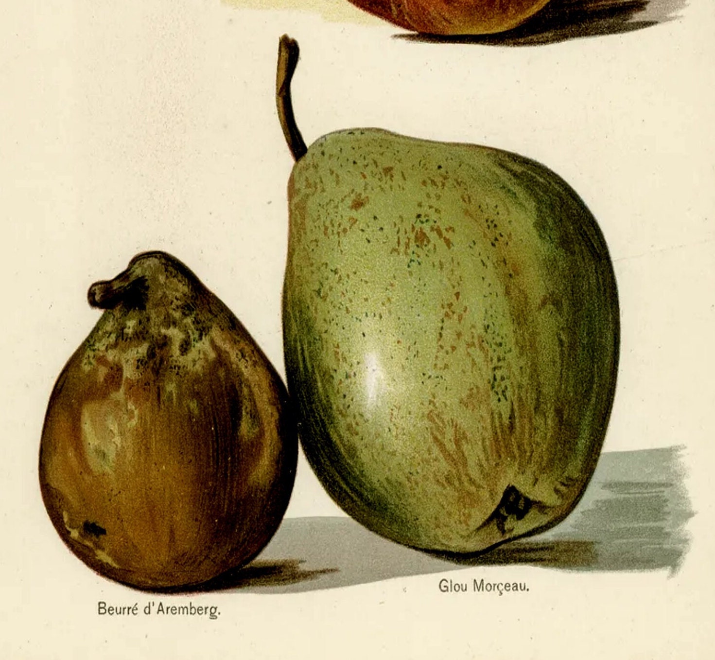 Antique Colored Lithograph Print of Fondante D'automne - Etsy