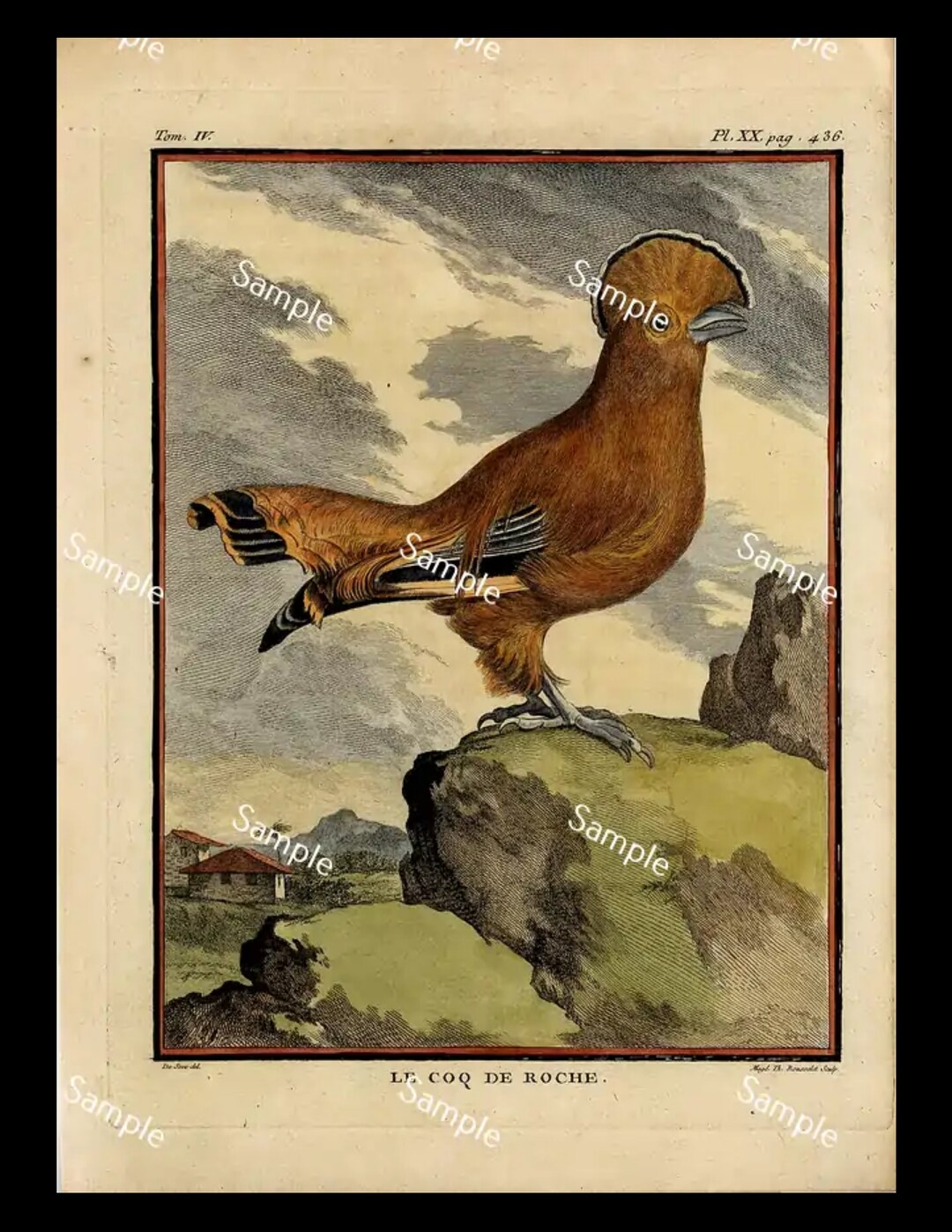 Rare Large QUARTO Edition Hand Colored Engraving Circa 1766 De Seve Le ...