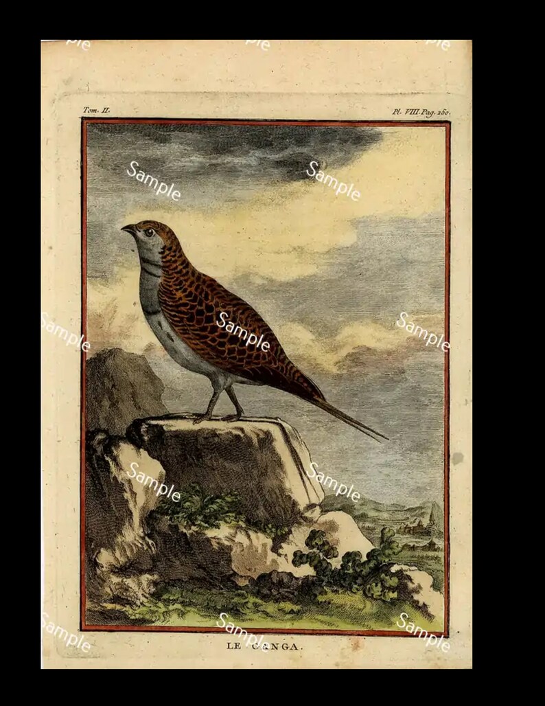 Rare Large QUARTO Edition Hand Colored Engraving Circa 1766 De - Etsy