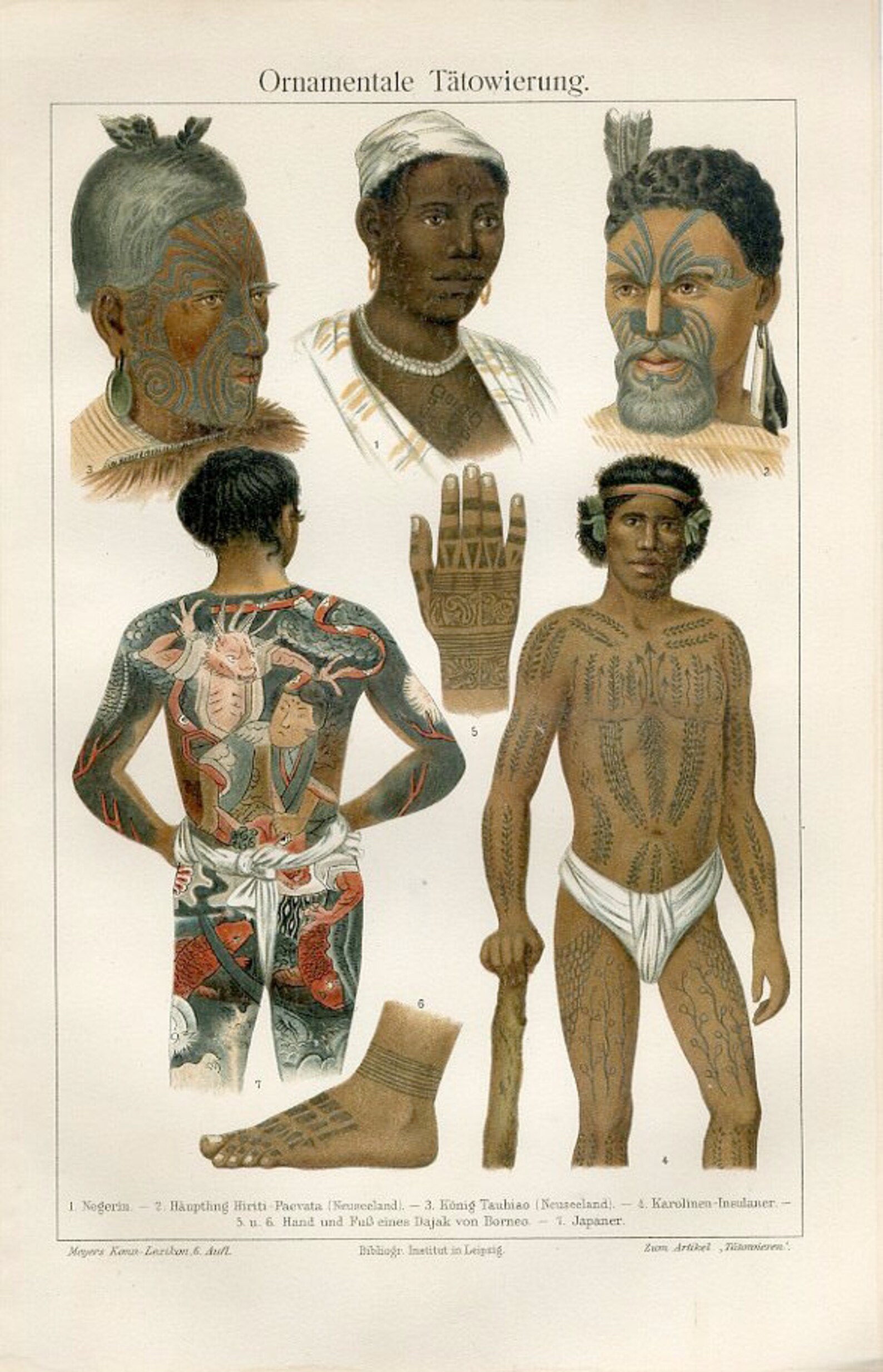 1890 Original Colored Lithograph of HUMAN RACES Nature Print Natural ...