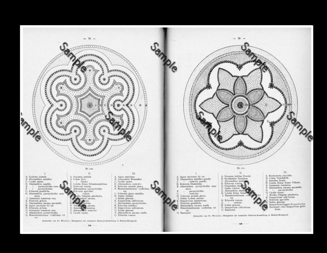 19th Century German Botanical Design Book Album Large Folio - Etsy