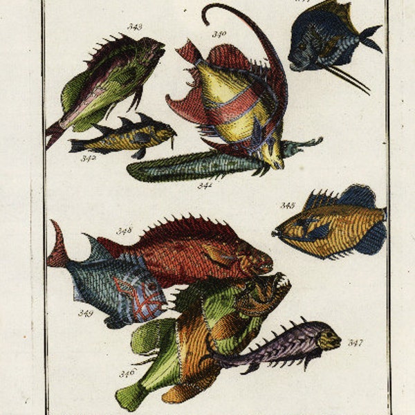 Fish Engraving - Etsy