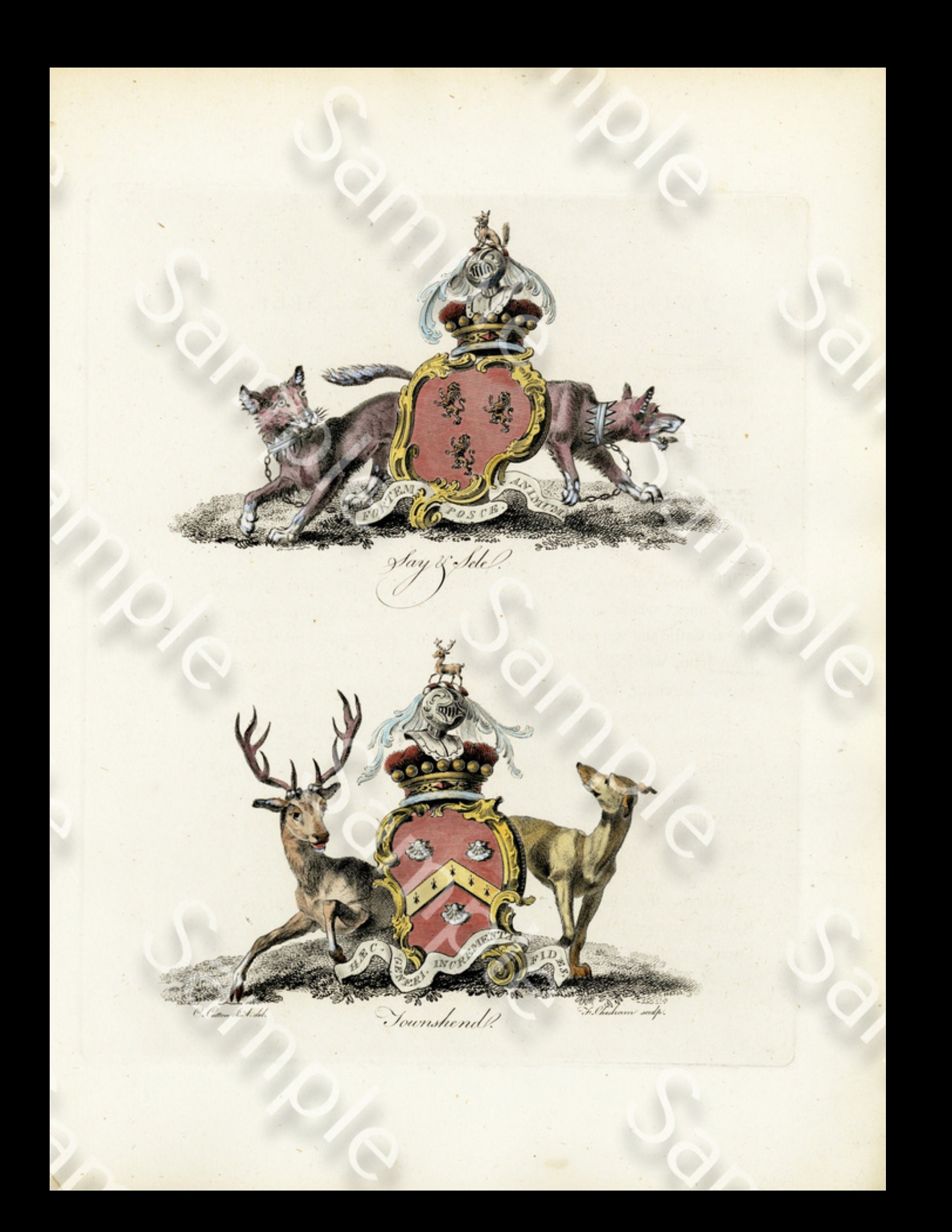 True Authentic Rare Heraldry Coat of Arms Hand Colored Engraving Print ...