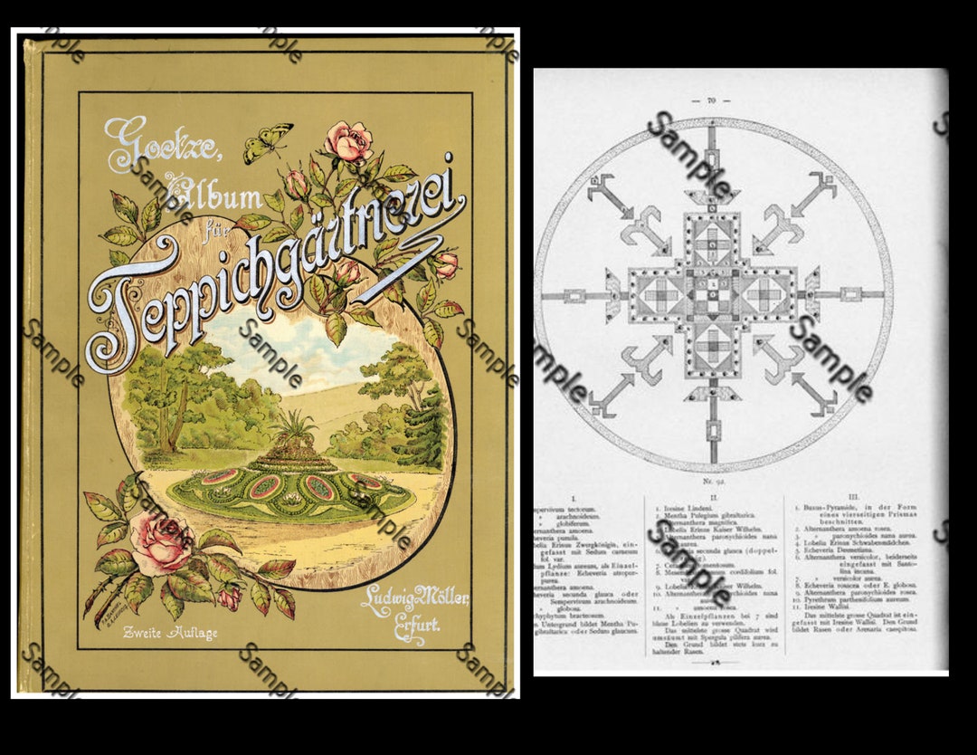 19th Century German Botanical Design Book Album Large Folio - Etsy