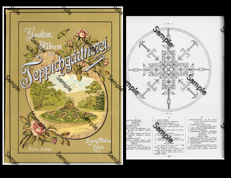 19th Century German Botanical Design Book Album Large Folio - Etsy