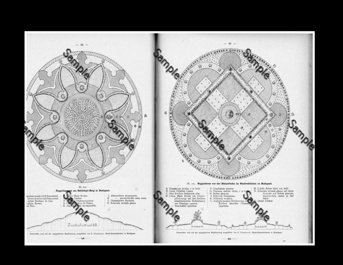 19th Century German Botanical Design Book Album Large Folio - Etsy