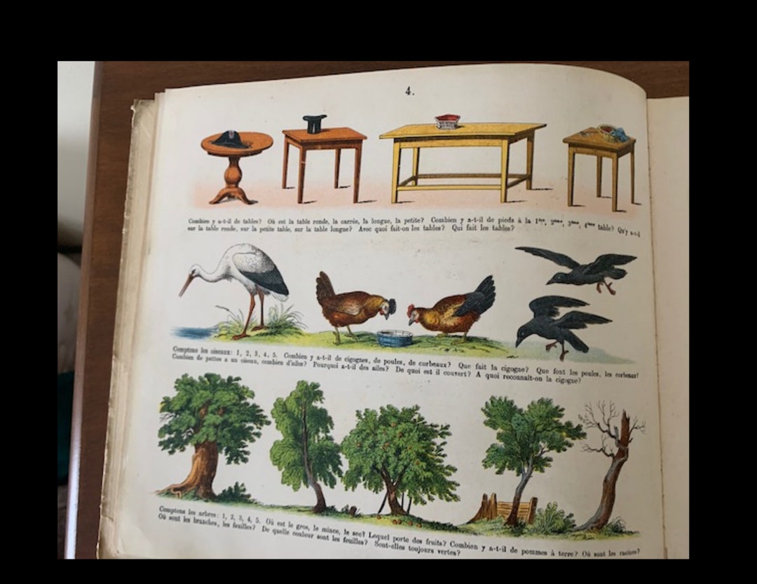 Rare German Children Instruction Recreative Book Circa 1890 - Etsy