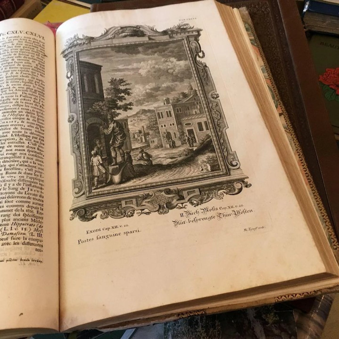 Rare 18th Century Original Physica Scare Large Folio Book 100 Copper ...