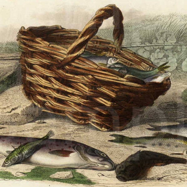 Hand Engraving - Etsy