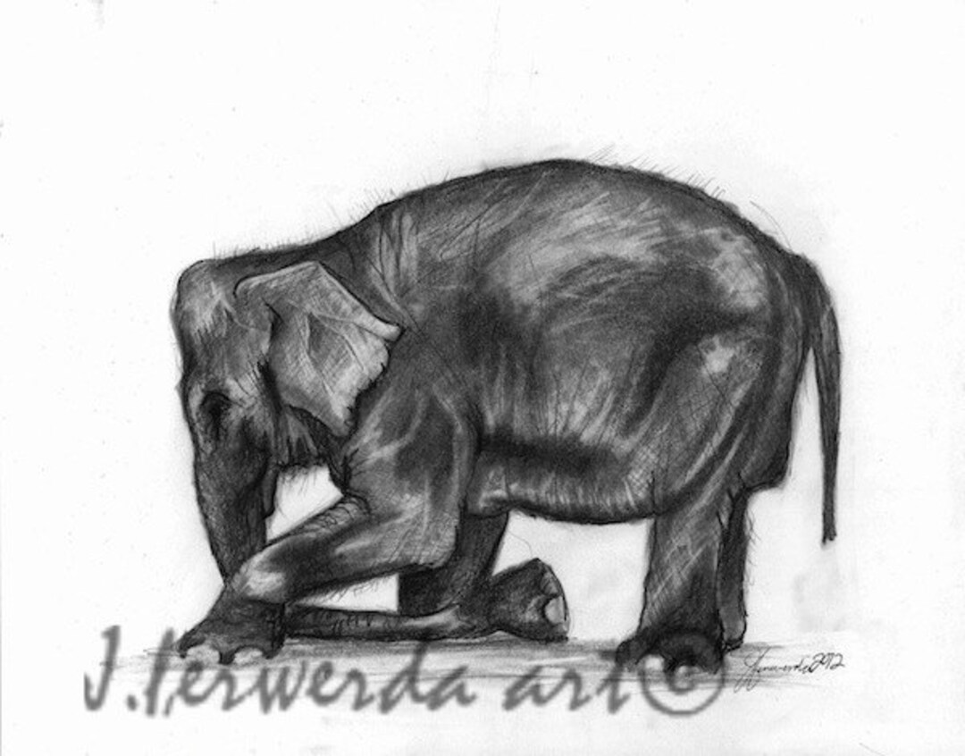 Pencil Drawing Print - Gratitude - Day 140 - Etsy