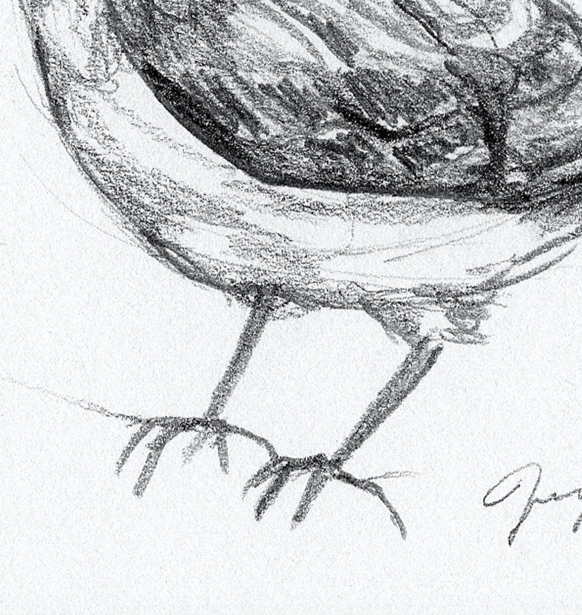 Answering Bird Day 3 - Pencil Drawing Print - Etsy