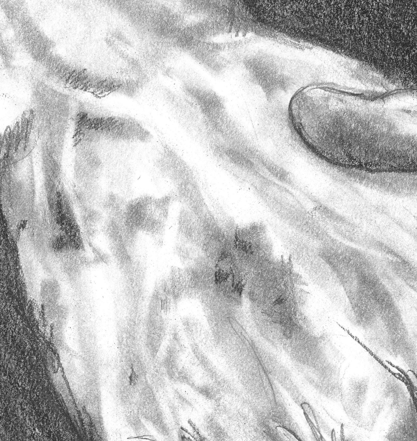 Pencil Drawing Print - These Hands - Day 124 - Etsy