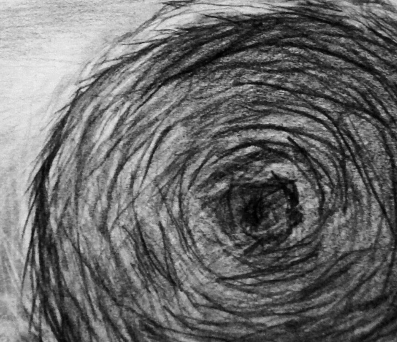 Pencil Drawing Print - Farm Field - Etsy