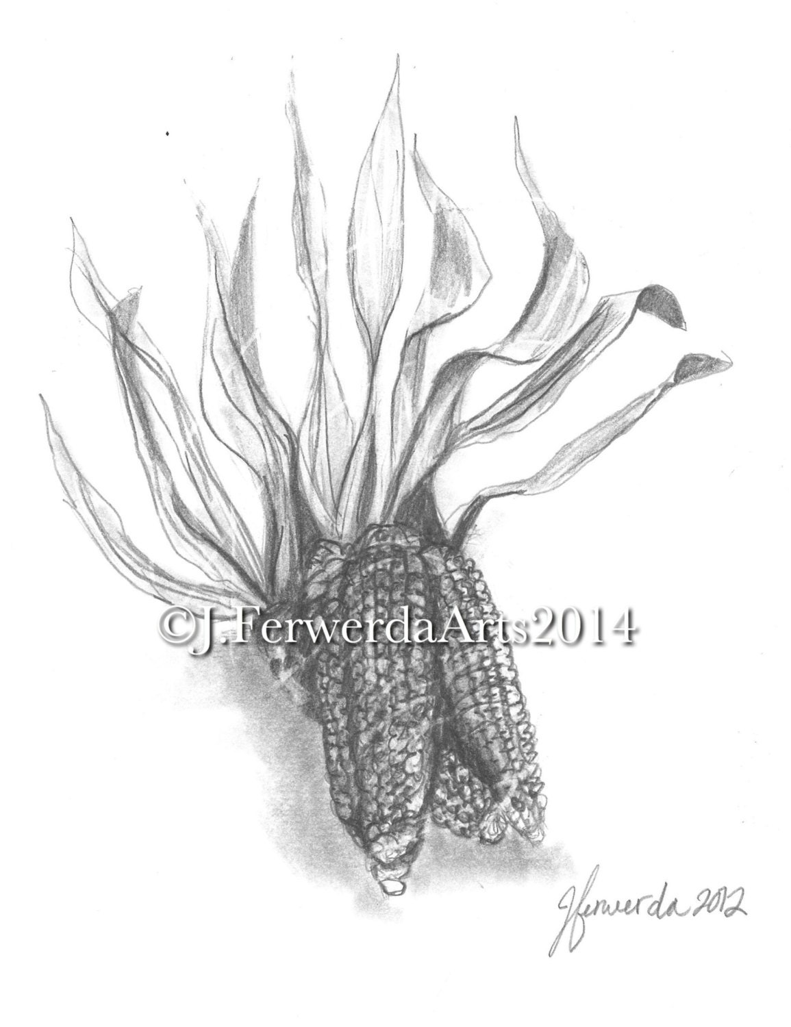 Pencil Drawing Print - Gratitude is Happiness - Day 308 - Etsy