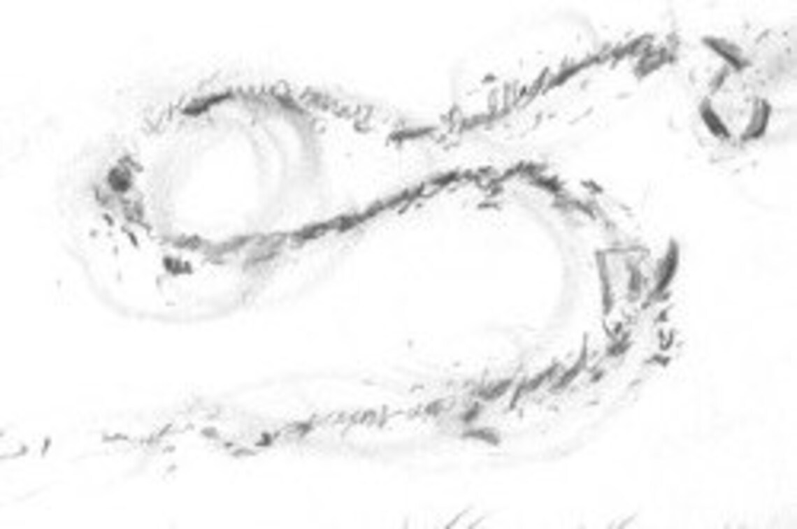 Pencil Drawing Print - Like the Wind - Day 231 - Etsy