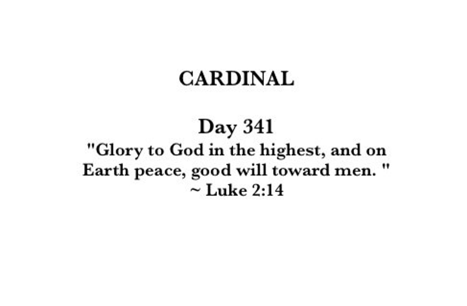 Pencil Drawing Print Cardinal Day 341 - Etsy