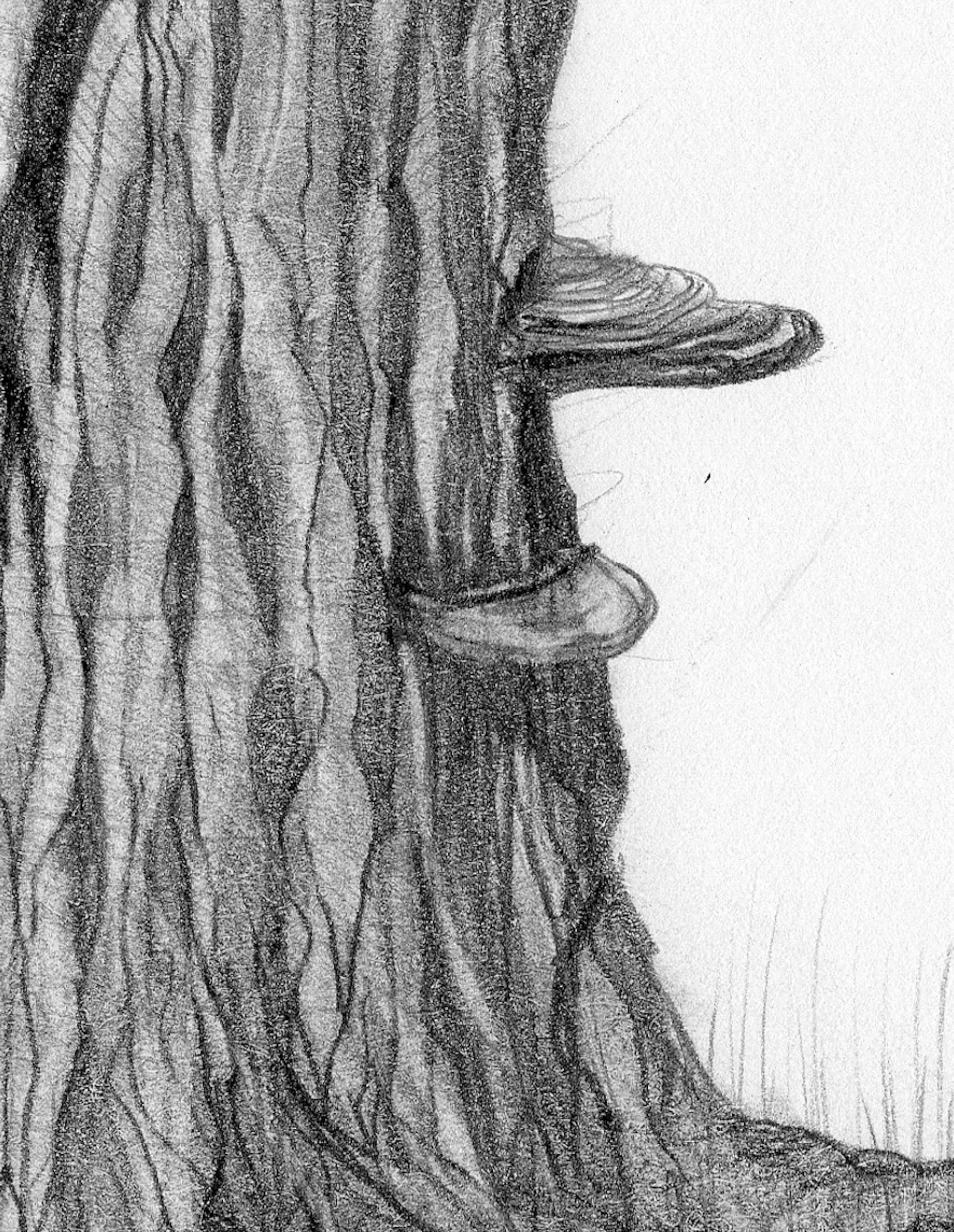 Trunk Treats - Pencil Drawing Print - Etsy