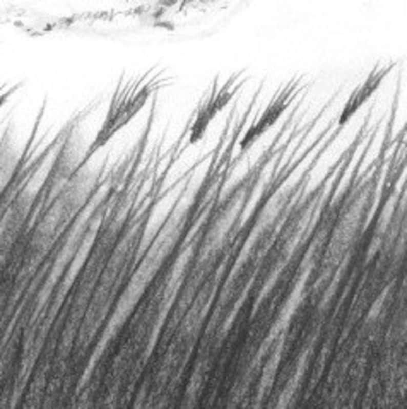 Pencil Drawing Print - Like the Wind - Day 231 - Etsy