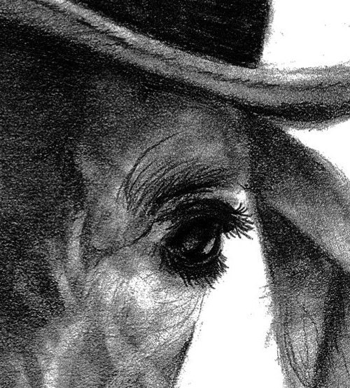Pencil Drawing Print - Magic Hat - Day 154 - Giraffe - Etsy